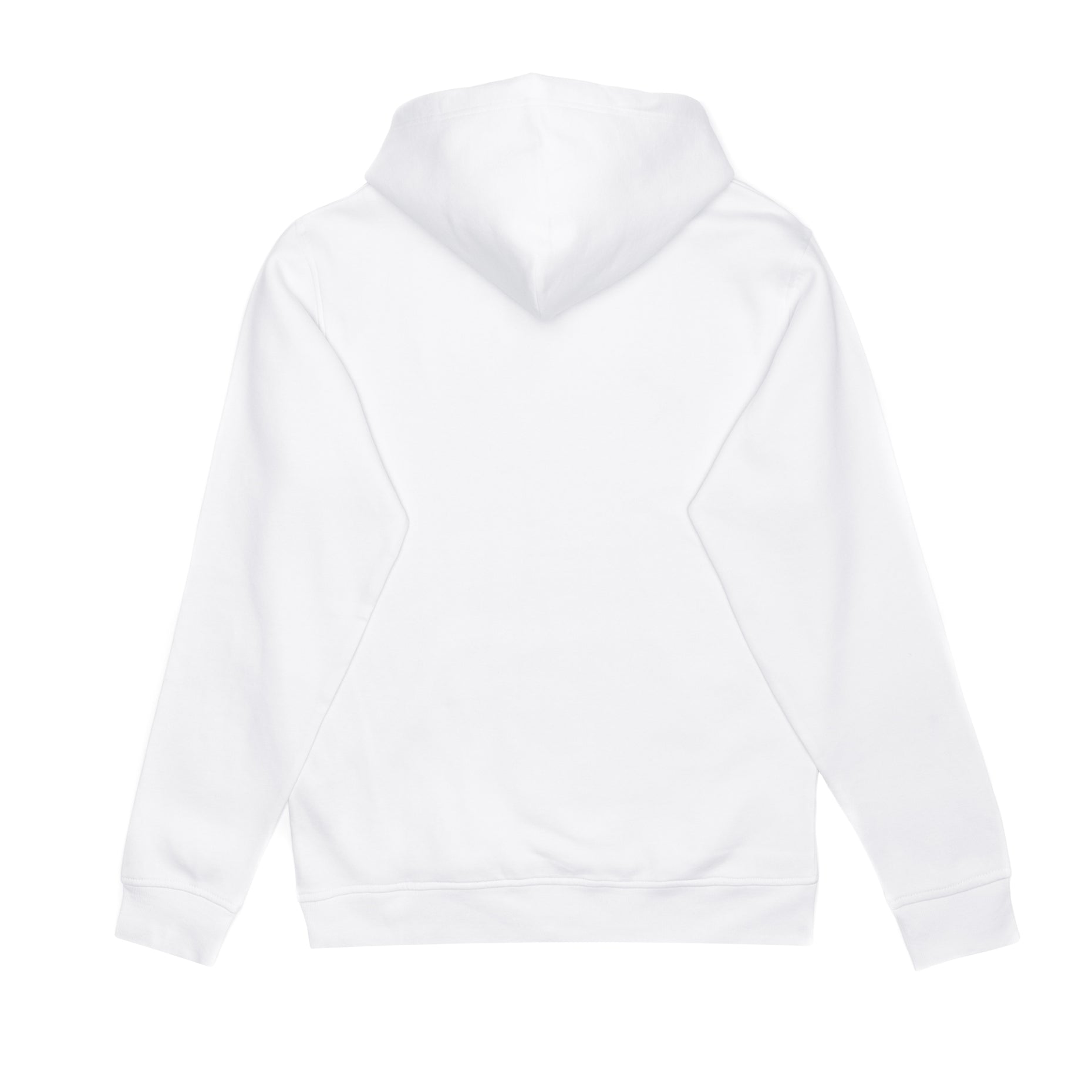 Premium Blank Hoodies | Customize Your Essential Sweatshirts Now – Just ...